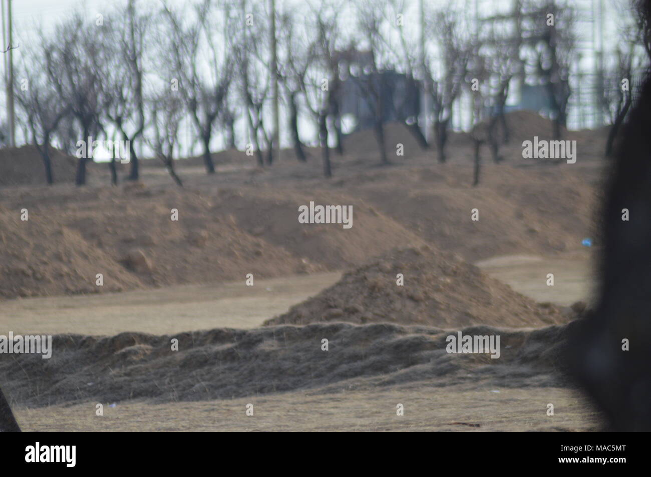 Random real Pictures Stock Photo - Alamy