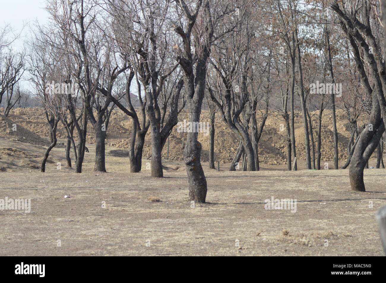 Real earth pictures hi-res stock photography and images - Alamy