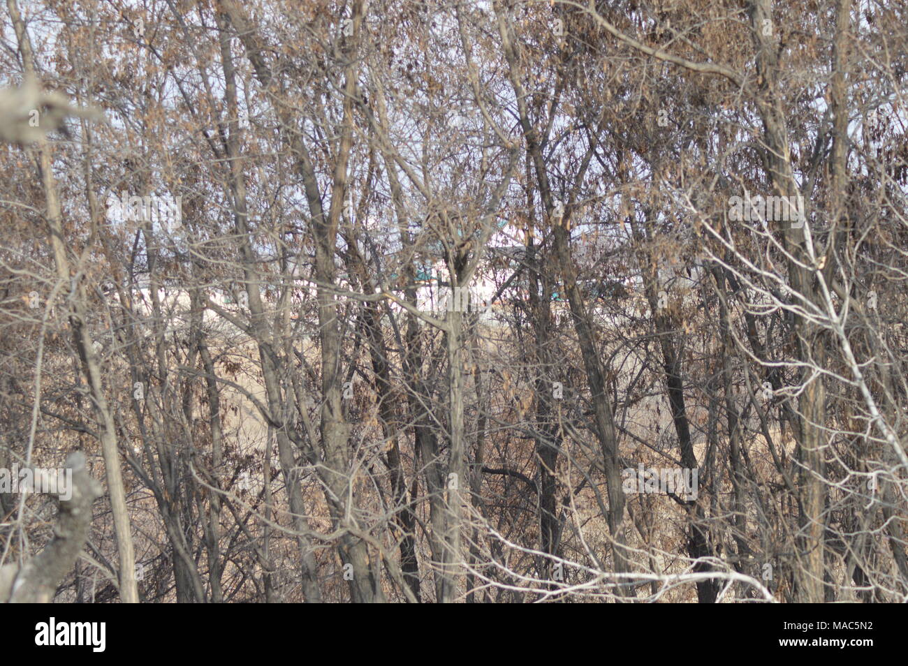 Real earth pictures hi-res stock photography and images - Alamy