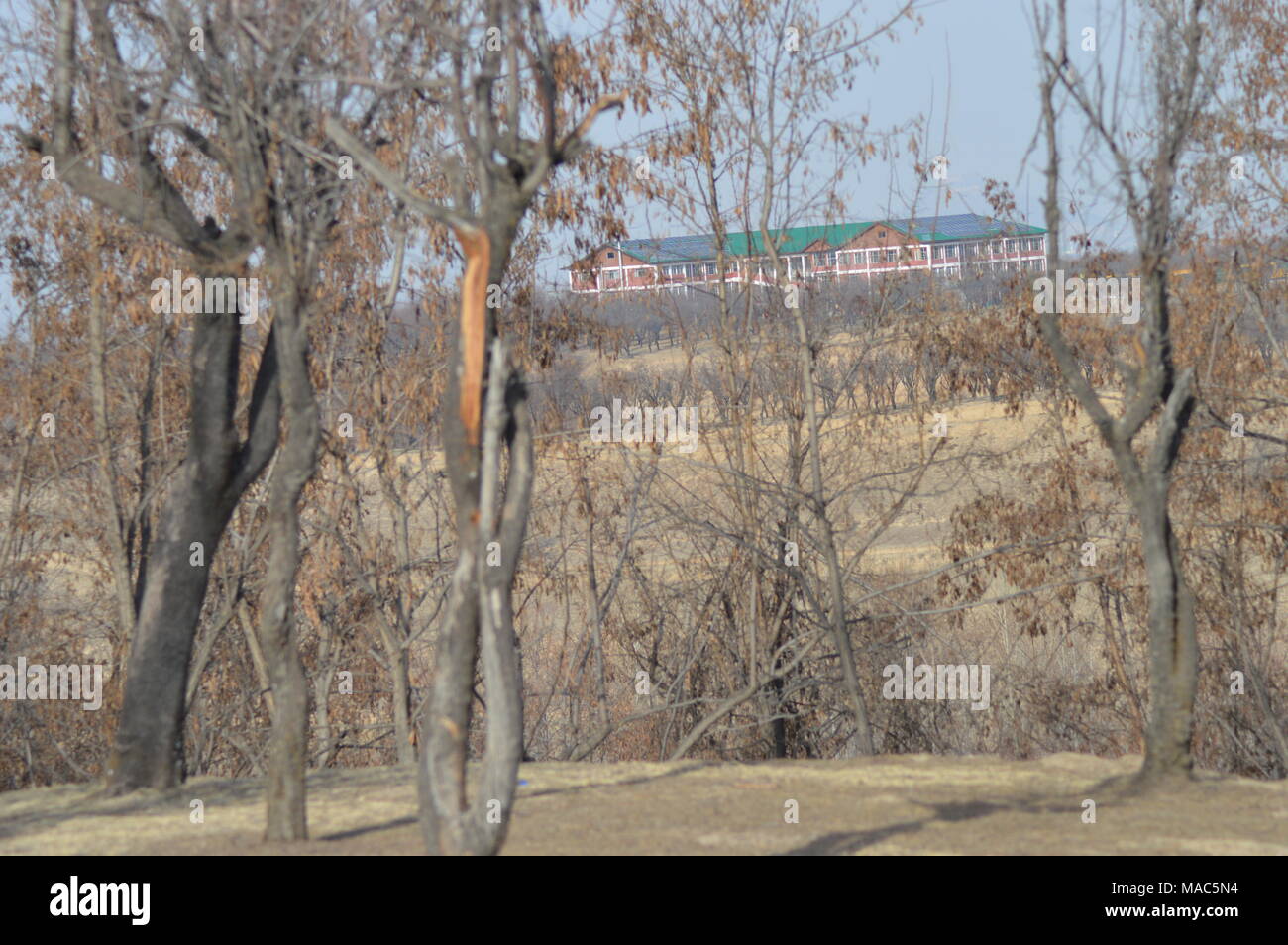 Random Pictures High Resolution Stock Photography and Images - Alamy