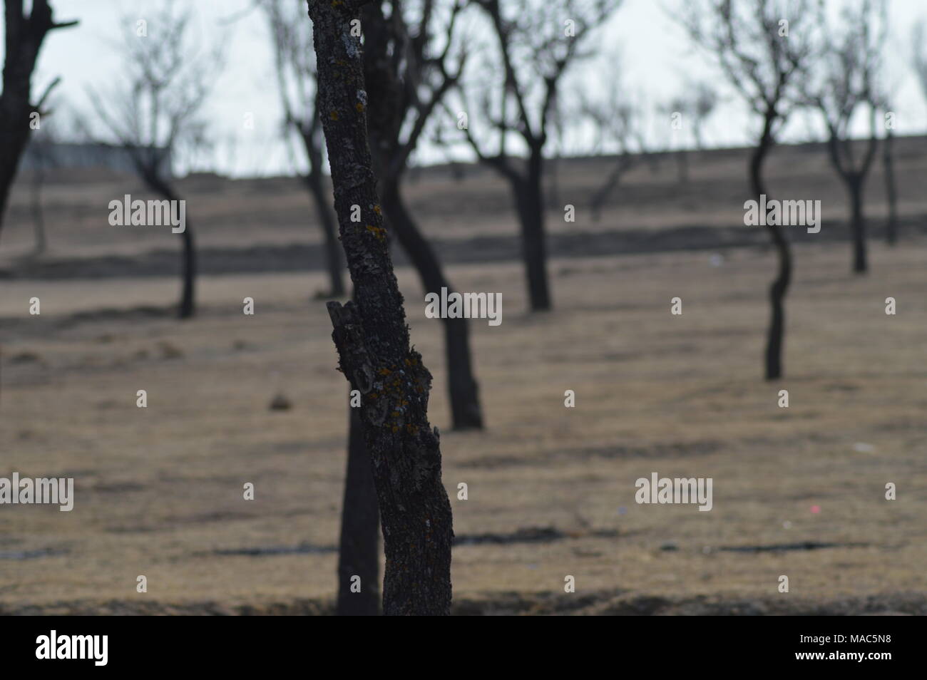 Random real Pictures Stock Photo - Alamy