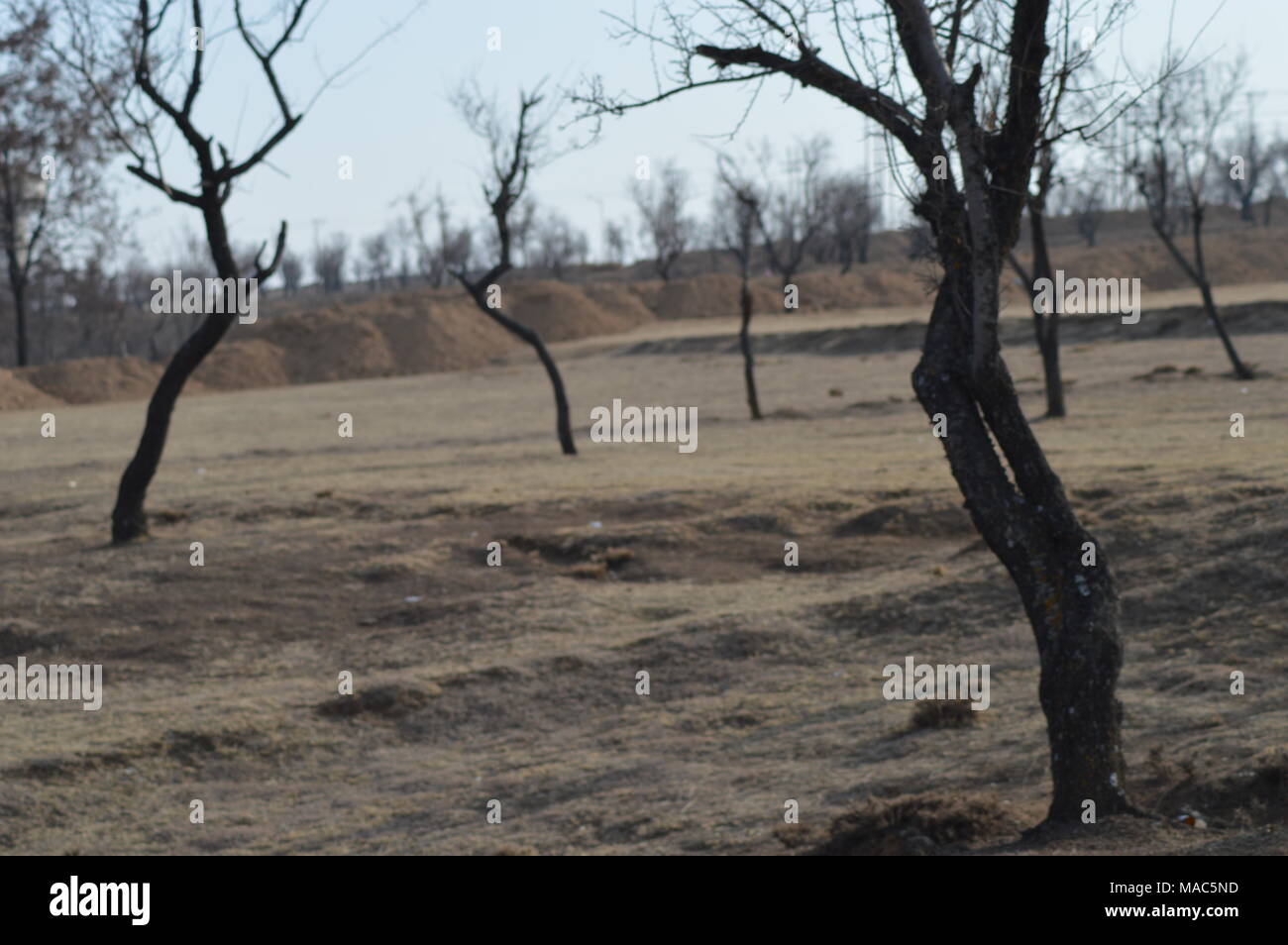 Random Pictures High Resolution Stock Photography and Images - Alamy