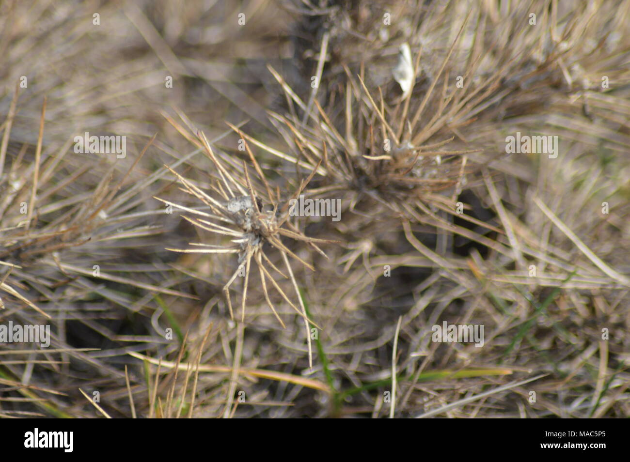 Random real Pictures Stock Photo - Alamy