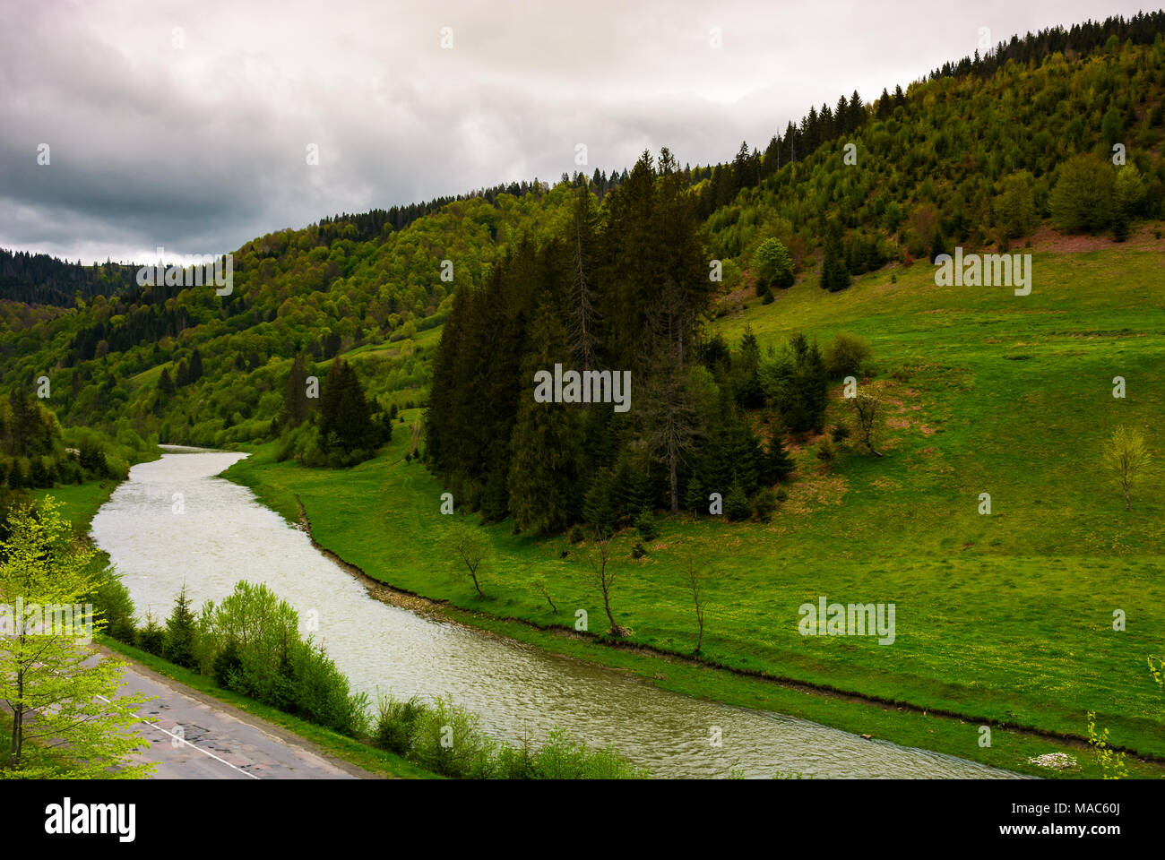 river near the forest on hillside on a cloudy day. lovely springtime ...