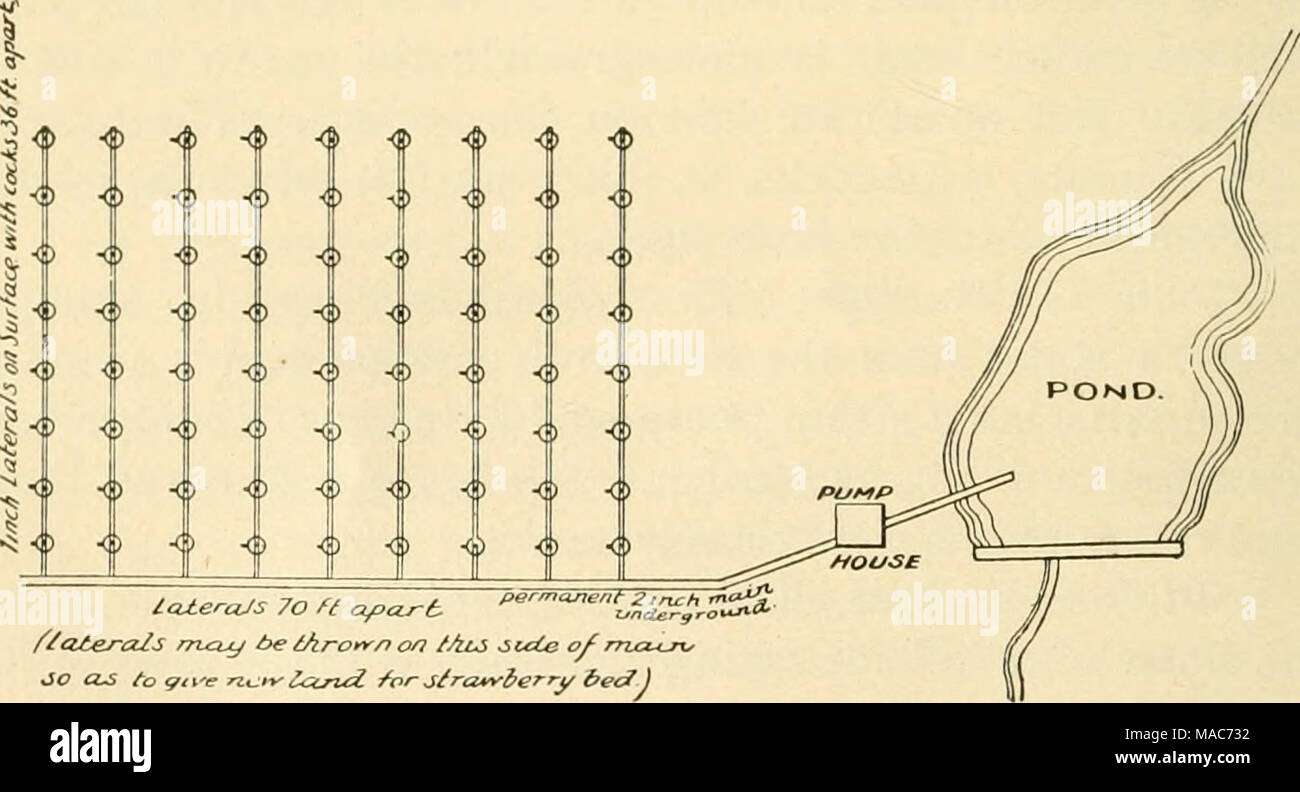 . Dreer's Open-air vegetables . JOHN repp's IEEIGATION SYSTEM. inches ...