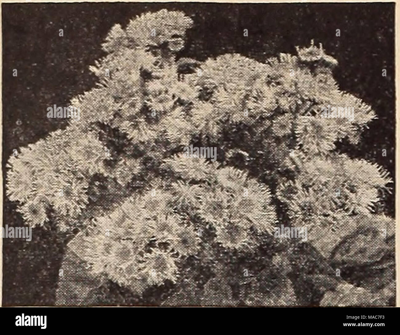 Forming mounds hi-res stock photography and images - Alamy