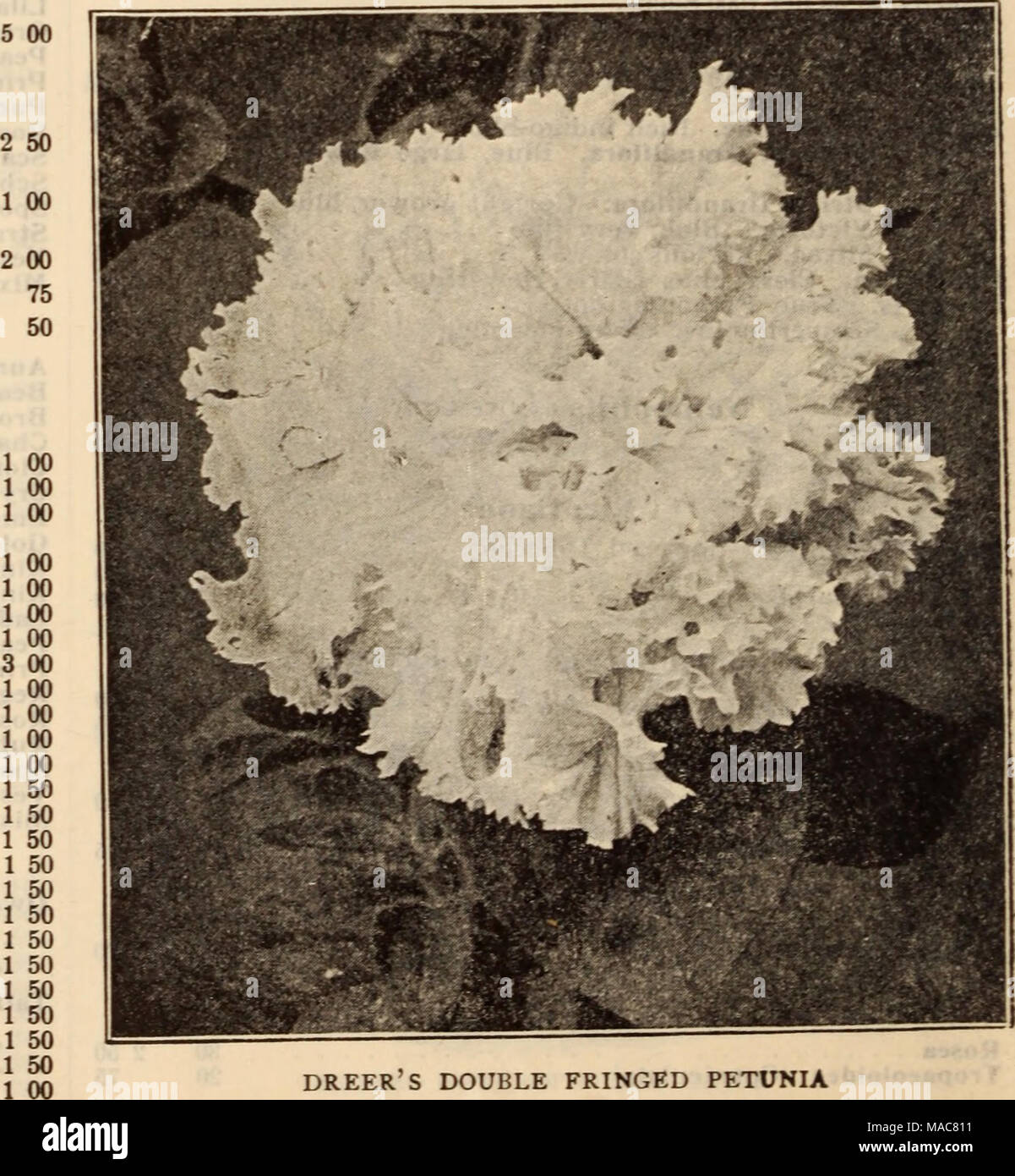. Dreer's wholesale price list / Henry A. Dreer. . dreer's double ...
