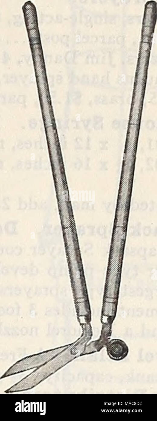 . Dreer's midsummer list 1929 . Border Shear Stock Photo - Alamy