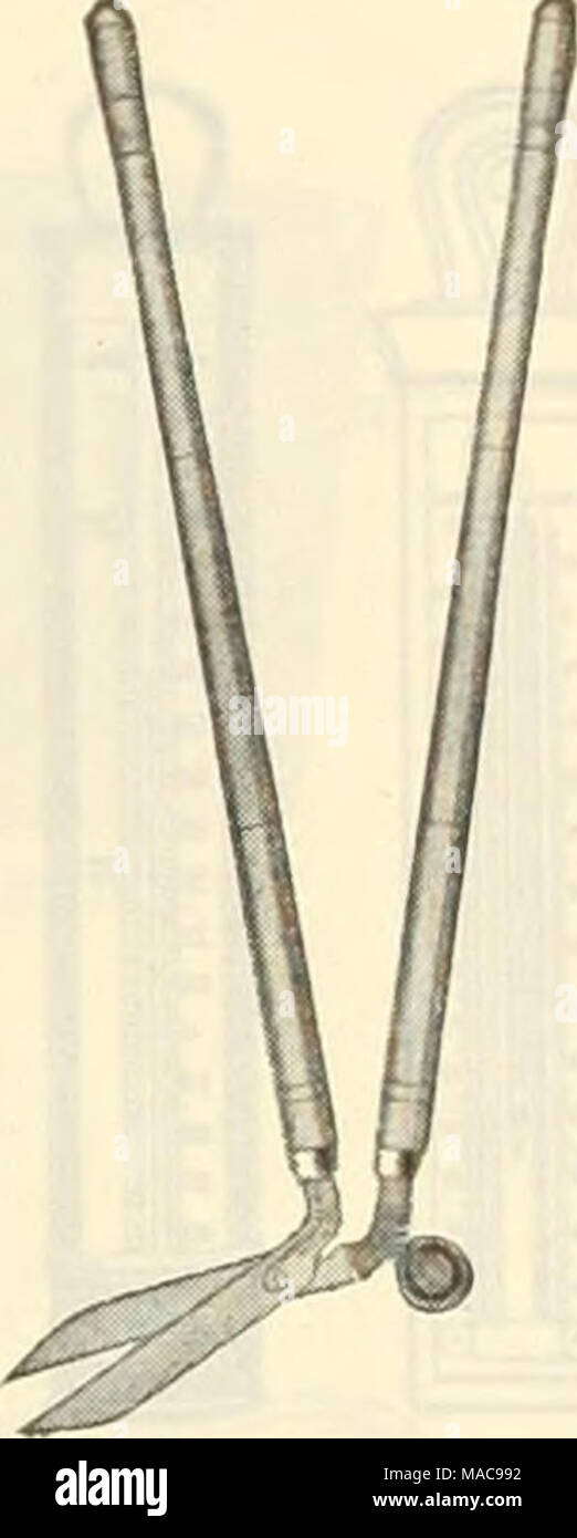 . Dreer's mid-summer list 1925 . Border Shear Grass Shear Dreer's ...