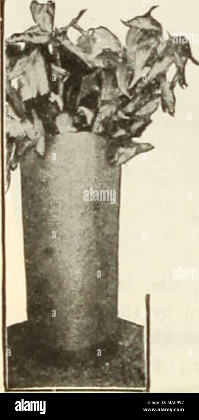 . Dreer's mid-summer list 1925 . Celery Bleacher Wire Fruit Picker ...