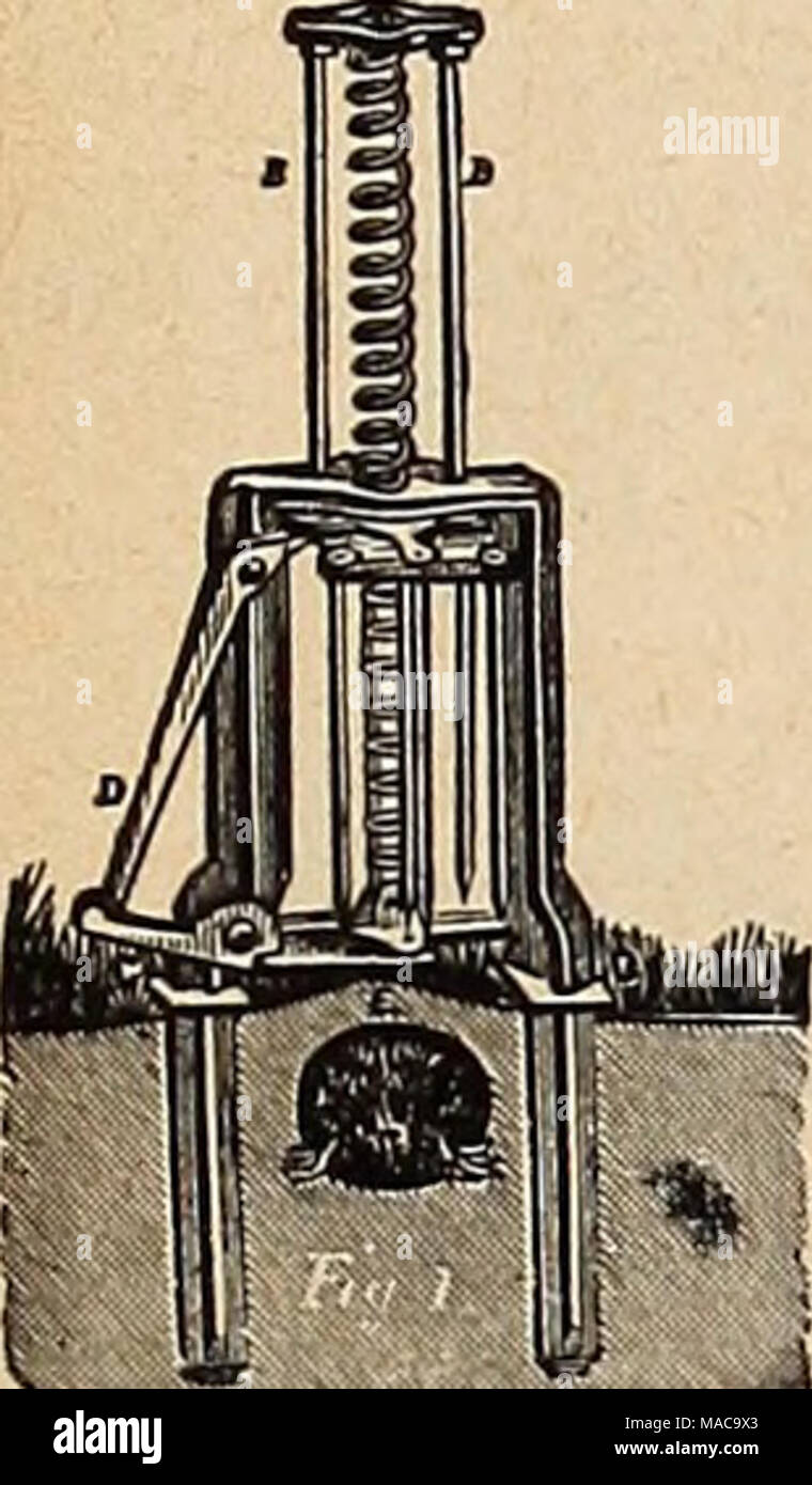 Ol trap hi-res stock photography and images - Alamy