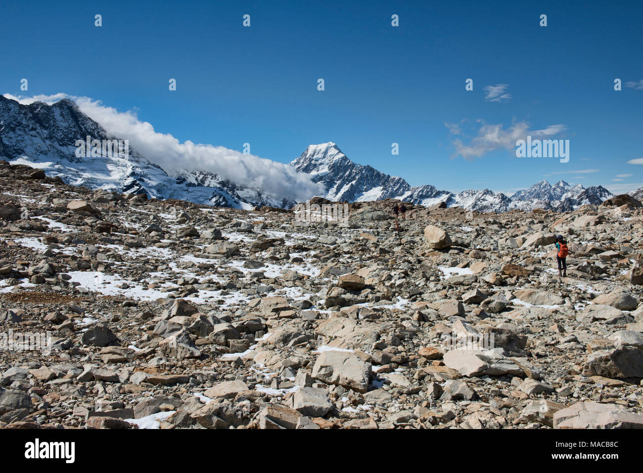 Hiking the Mueller Hut Track towards Mount Cook, Southern Alps, New ...
