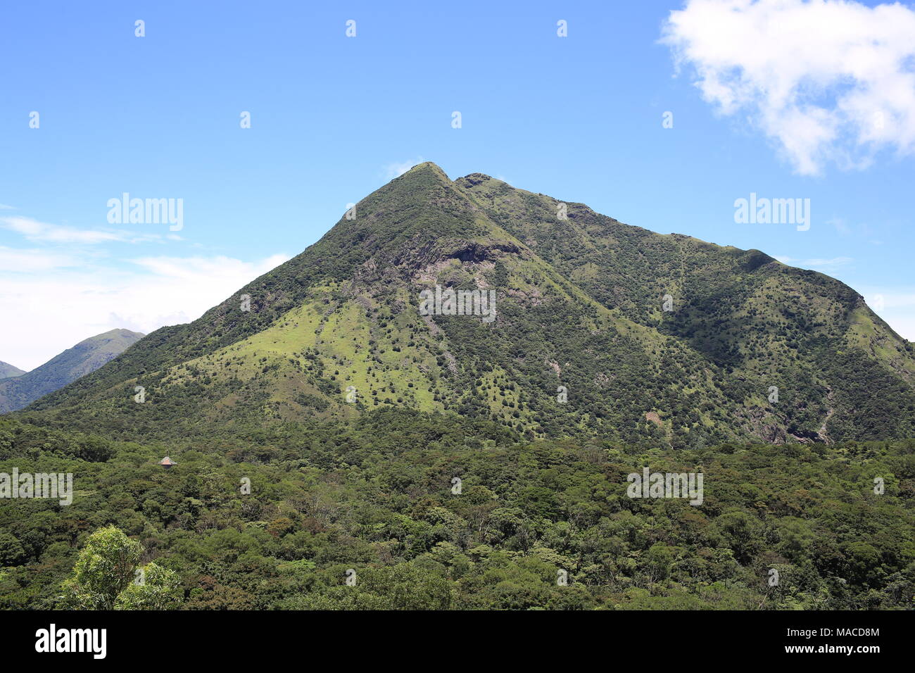 the peak of Lantau Island in beautiful weather in summer Stock Photo ...