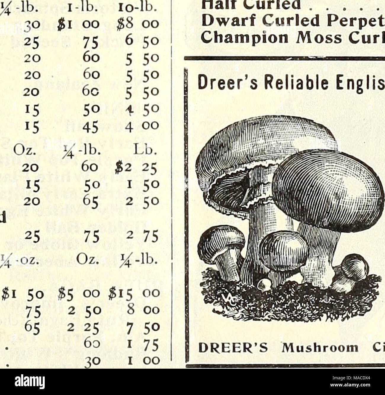 555 bus hi-res stock photography and images - Alamy