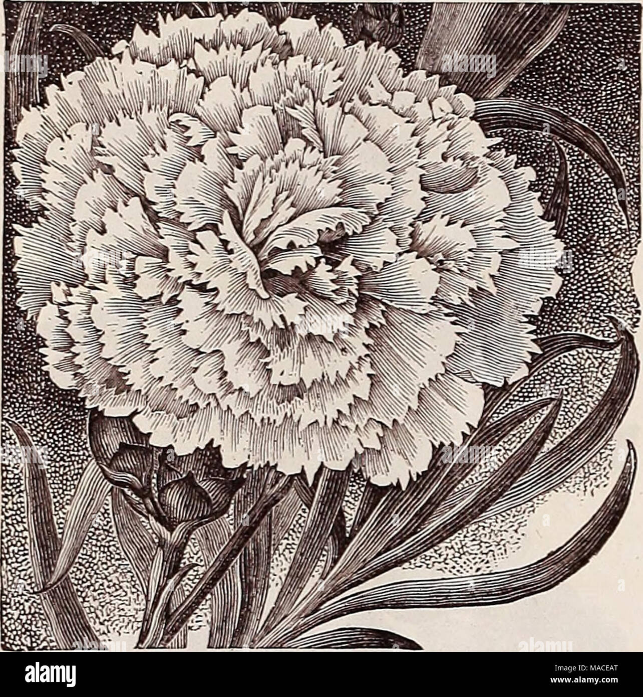 Eclipse tools hi-res stock photography and images - Alamy