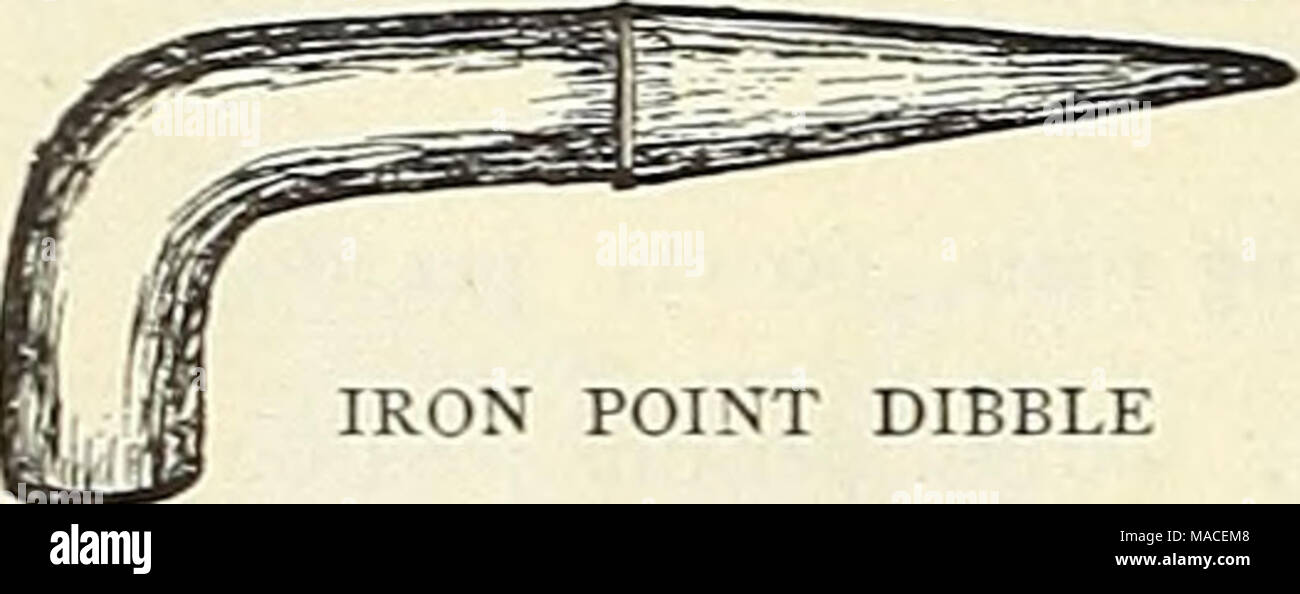 Mole traps hi-res stock photography and images - Alamy