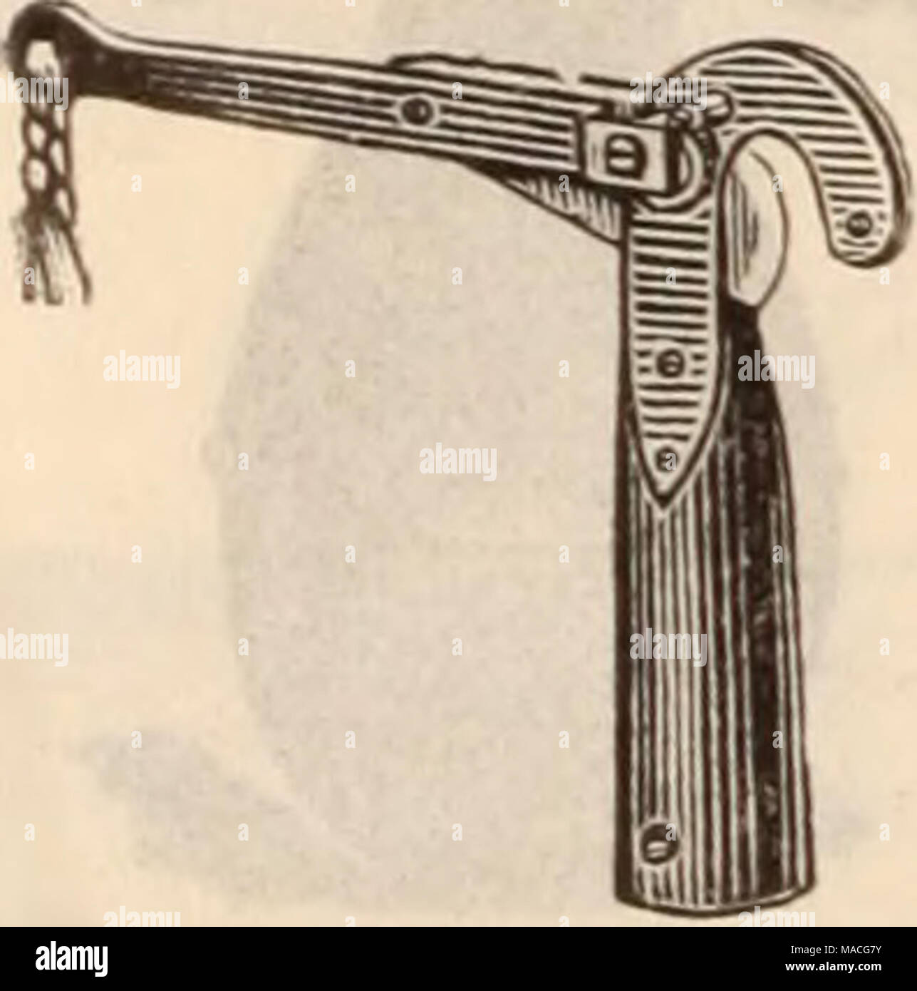 . Dreer's wholesale price list / Henry A. Dreer. . Telegraph Tree ...