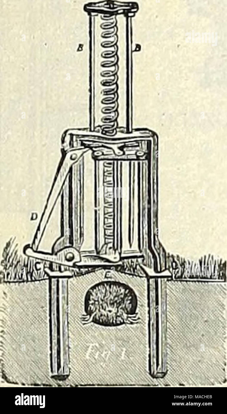 Seeds with hooks hi-res stock photography and images - Alamy