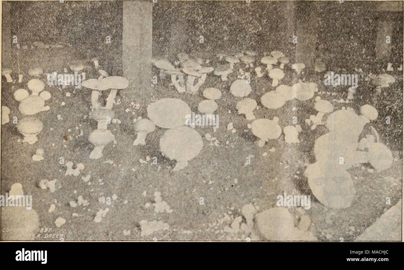 S 100 bus hi-res stock photography and images - Alamy