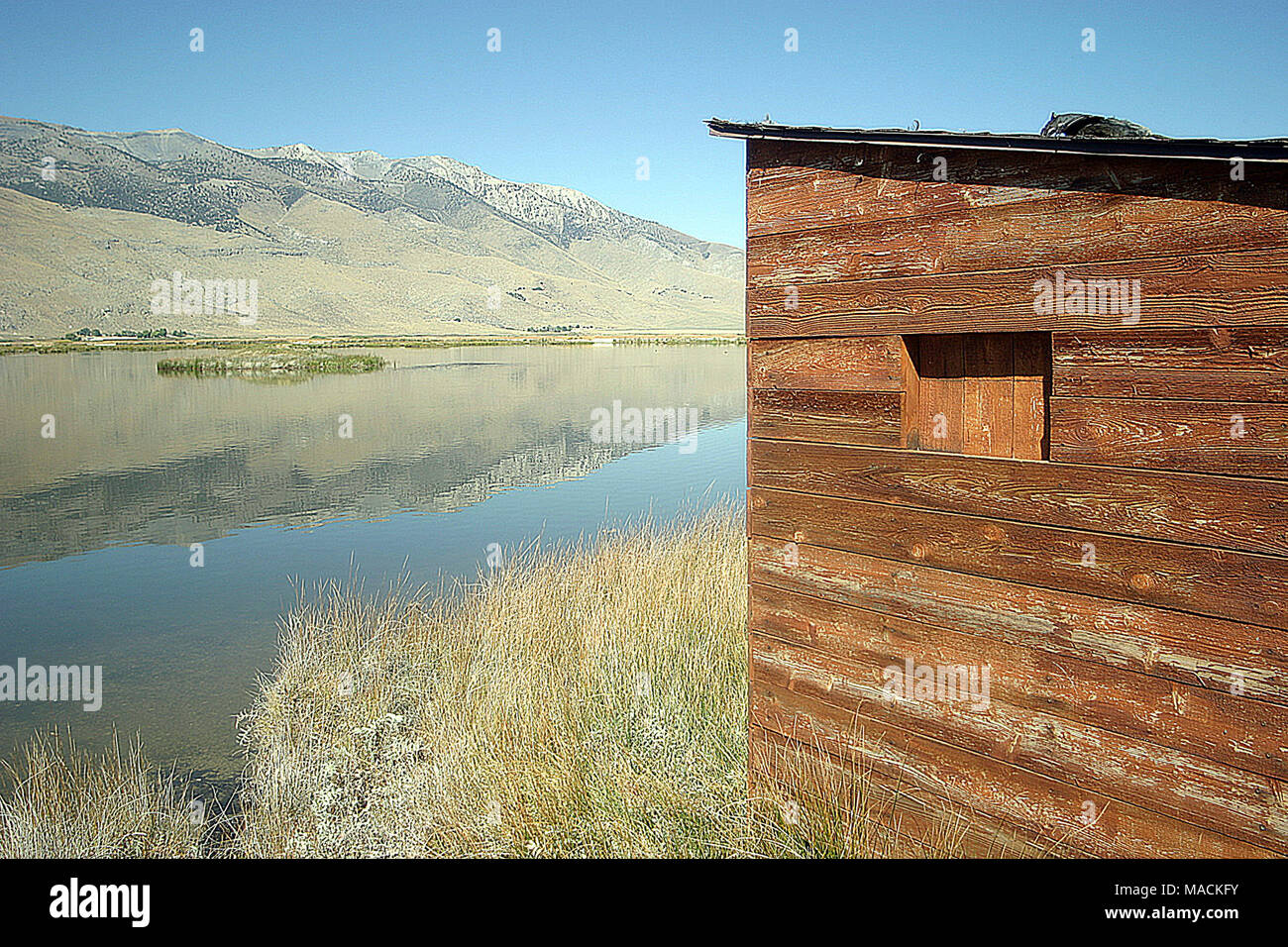 Ruby Lake National Wildlife Refuge. By arriving before dawn and ...