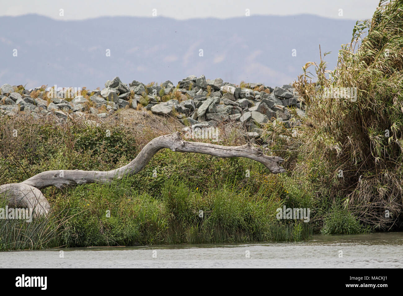 Sacramento San Joaquin River Delta Stock Photos & Sacramento San ...