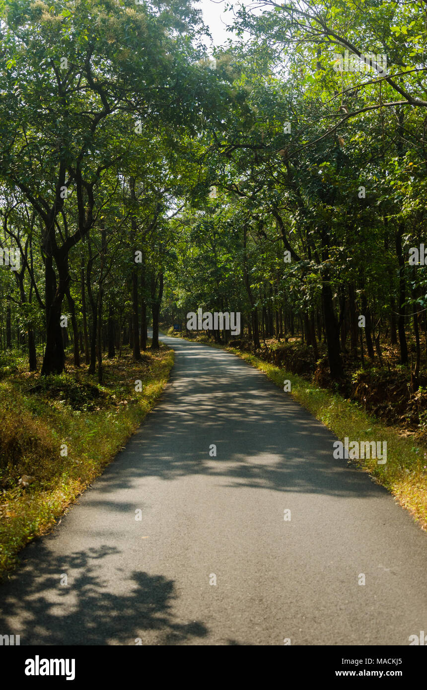 Netravali wildlife sanctuary hi-res stock photography and images - Alamy