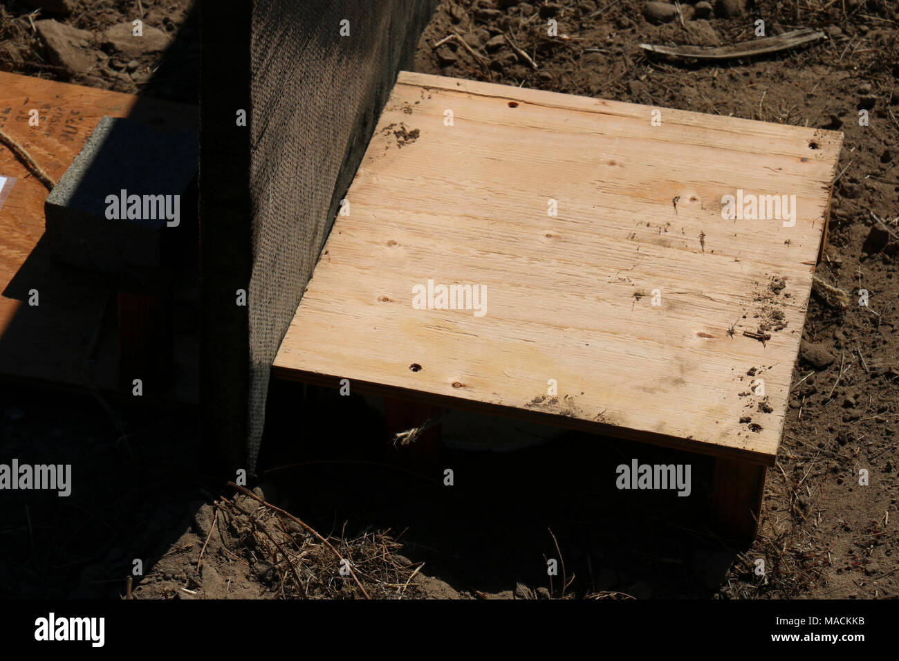 Salamander collection box. The box is designed to catch salamanders ...