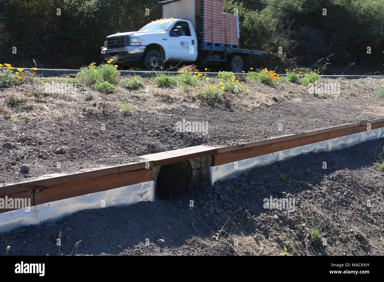 Salamander crossing. These salamander crossings allows salamanders safe ...