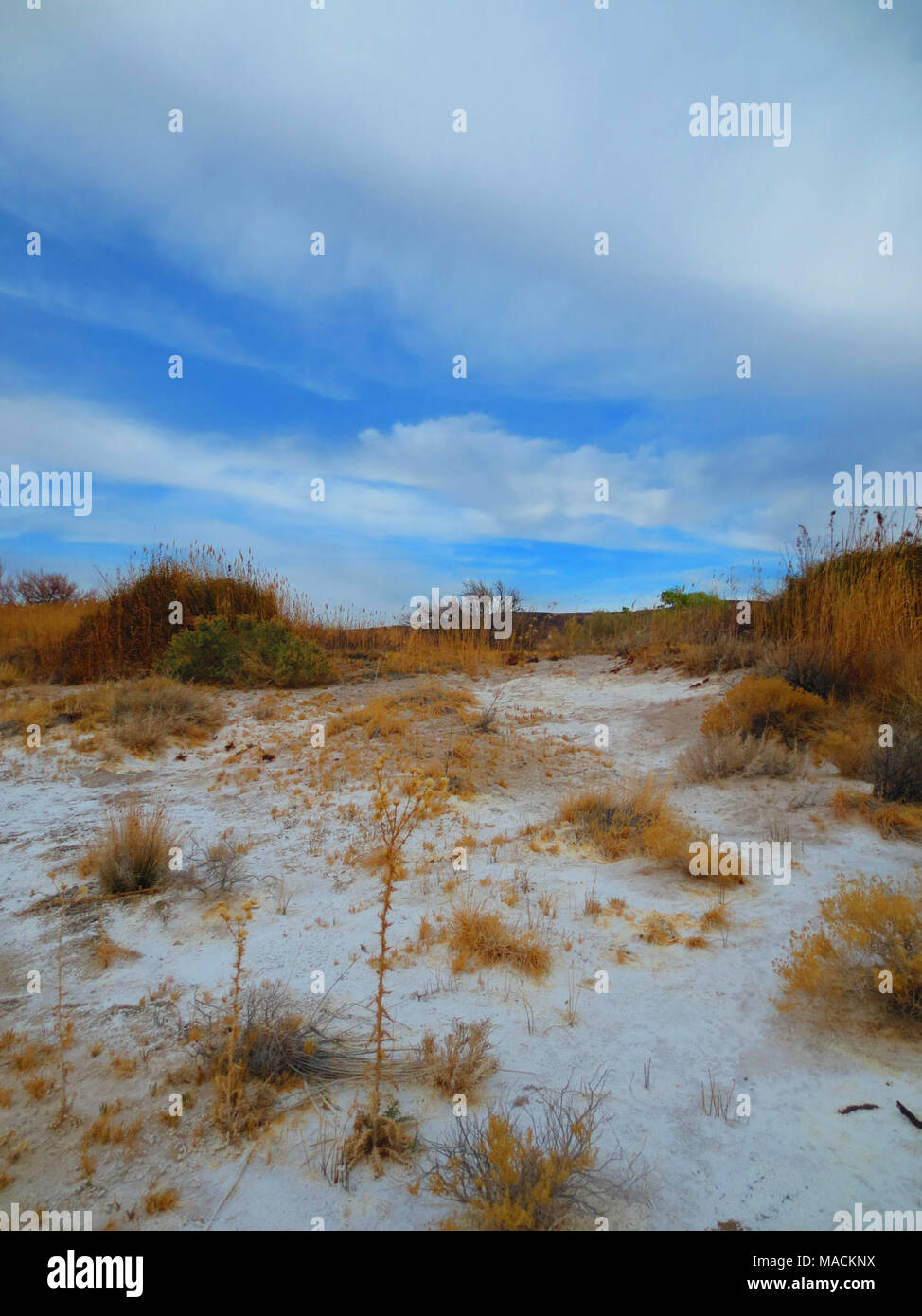 Soil salts hi-res stock photography and images - Alamy