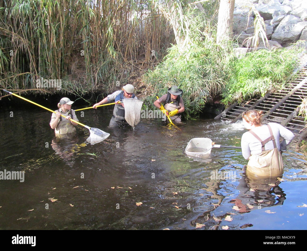 Santa ana sucker hi-res stock photography and images - Alamy