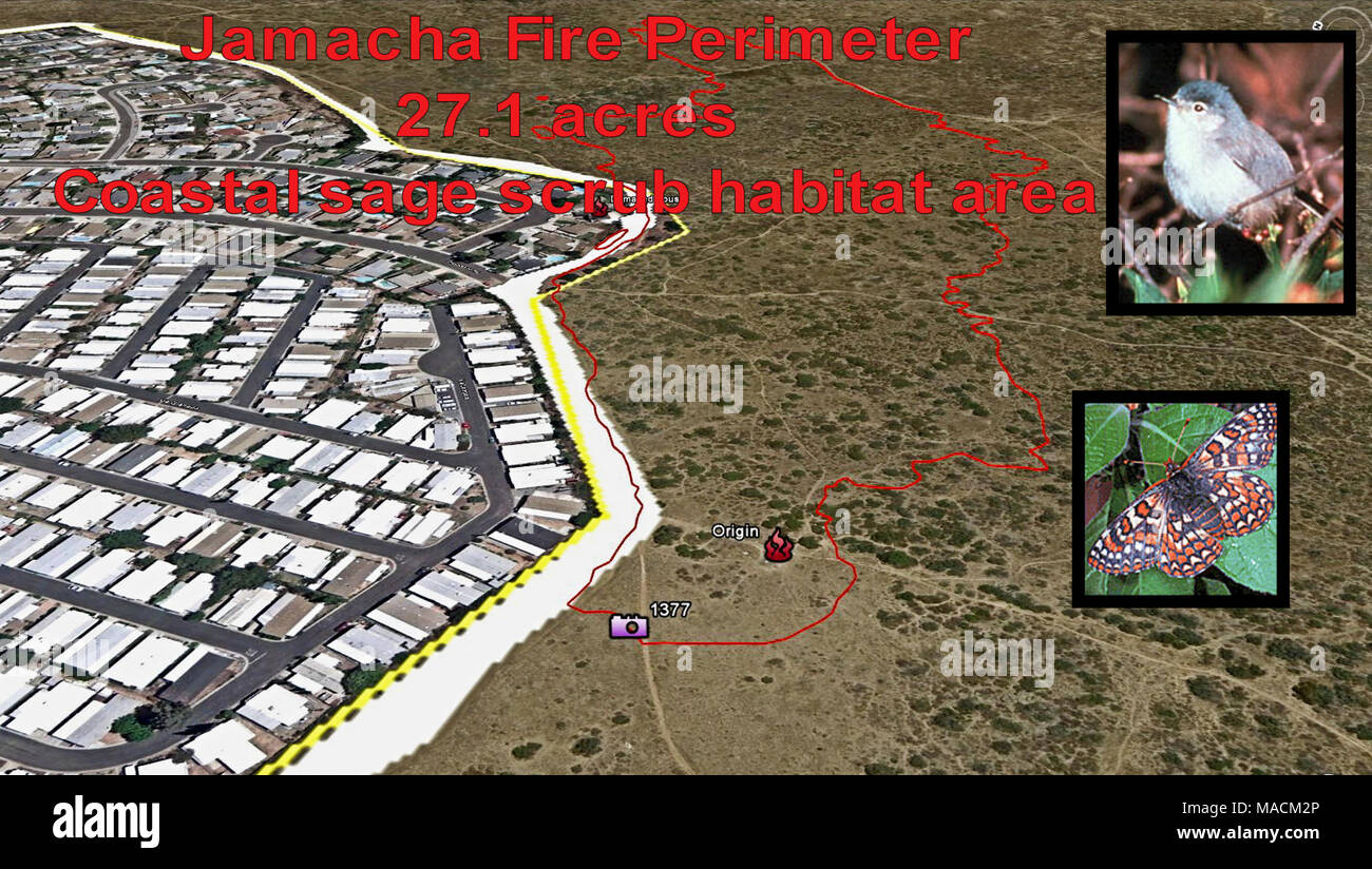 Fire and animals aerial hi-res stock photography and images - Alamy