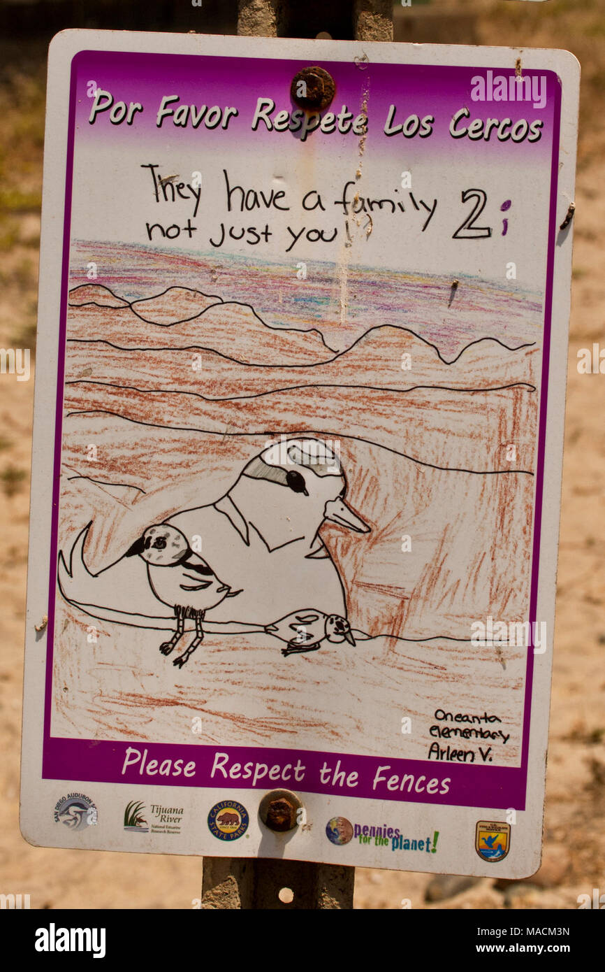 Share the Shore with our snowy plovers!. The Share the Shore project in ...
