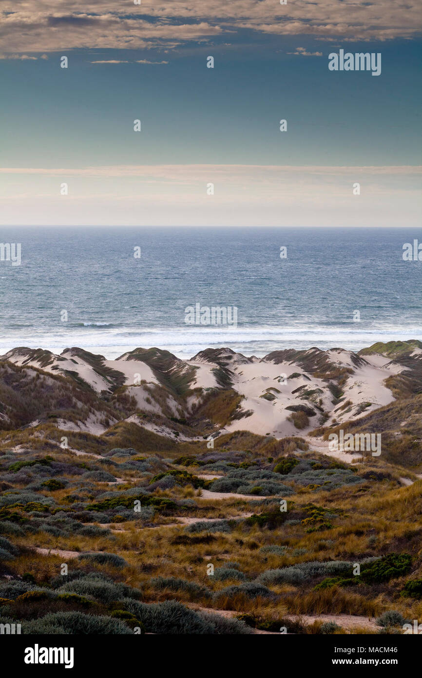 Guadalupe nipomo dunes preserve hi-res stock photography and images - Alamy