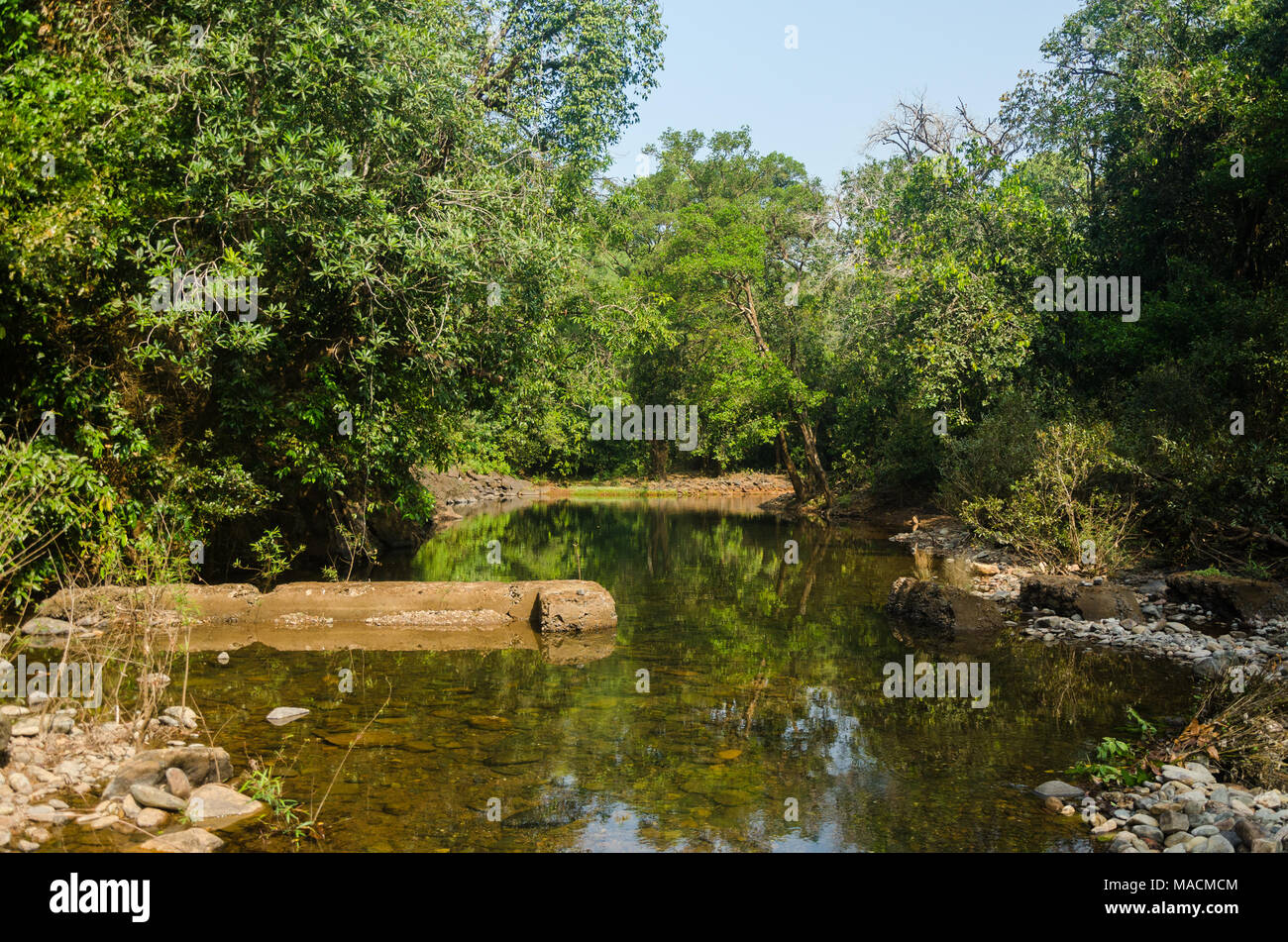Scenic nature pathway to Mainapi Waterfall though the evergreen and ...