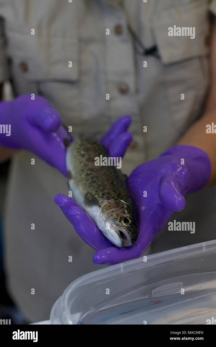 Anesthesia management hi-res stock photography and images - Alamy