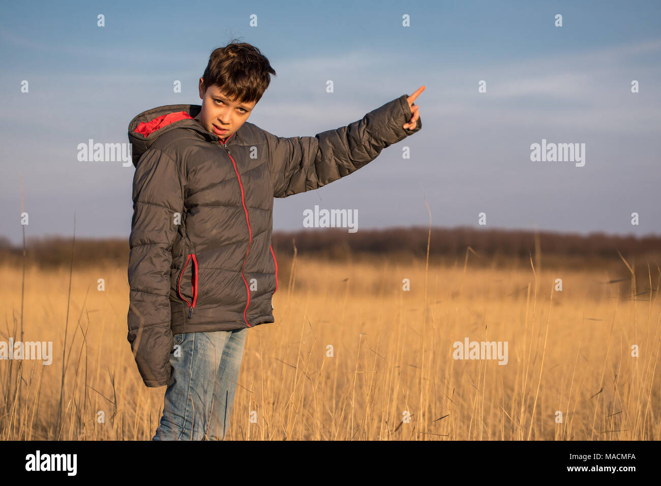 Boy pointing birds hi-res stock photography and images - Alamy