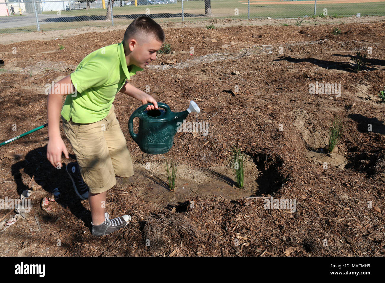 Student watering plants Stock Photo - Alamy