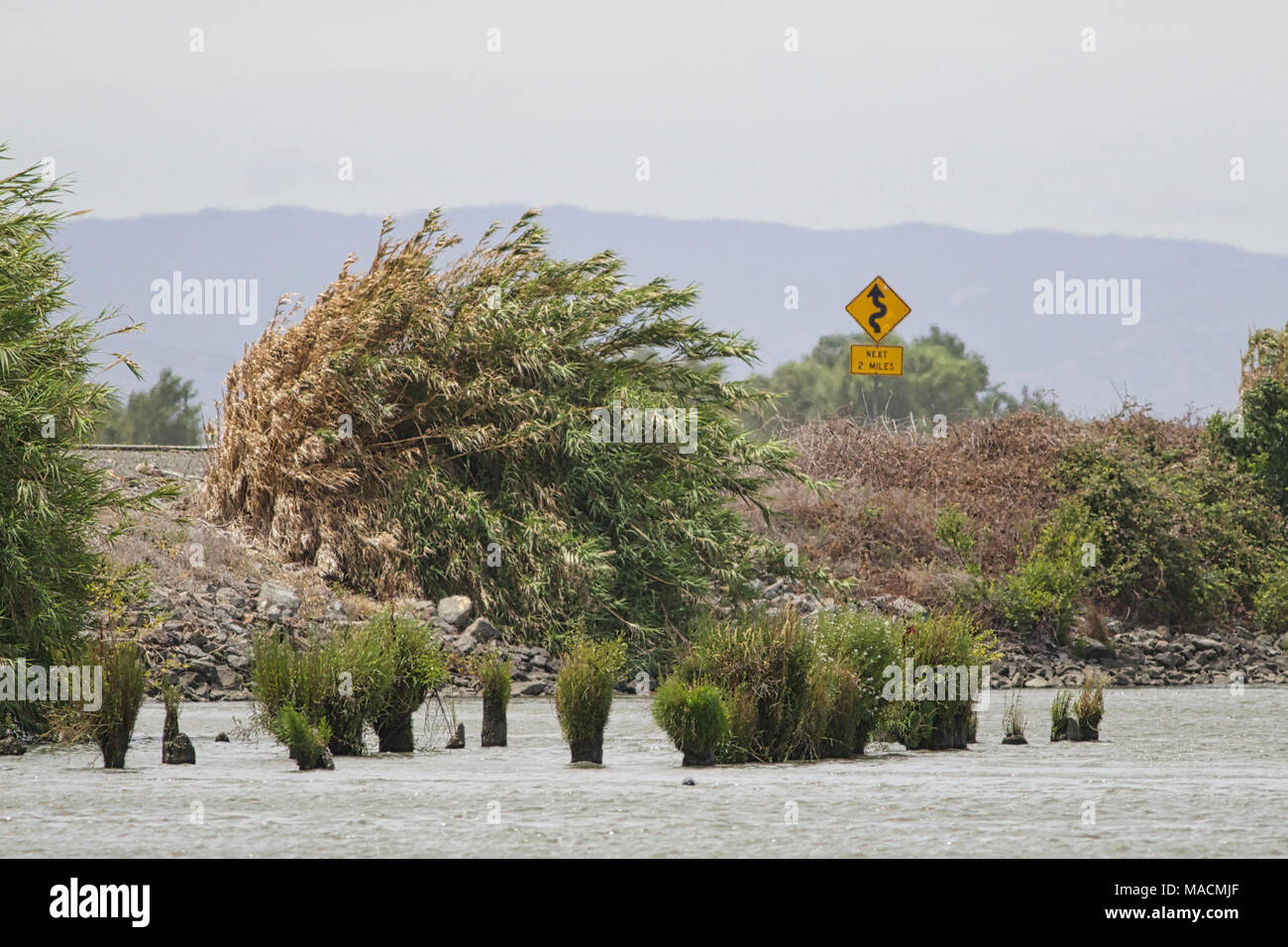 Sacramento San Joaquin River Delta Stock Photos & Sacramento San ...
