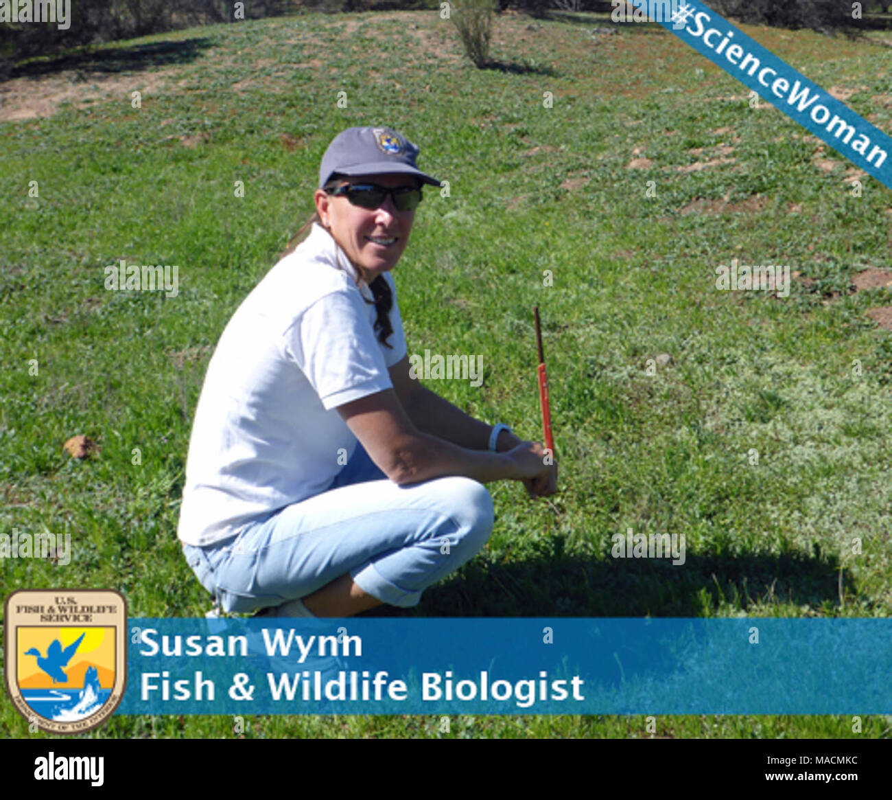 Usfws biologist hi-res stock photography and images - Alamy