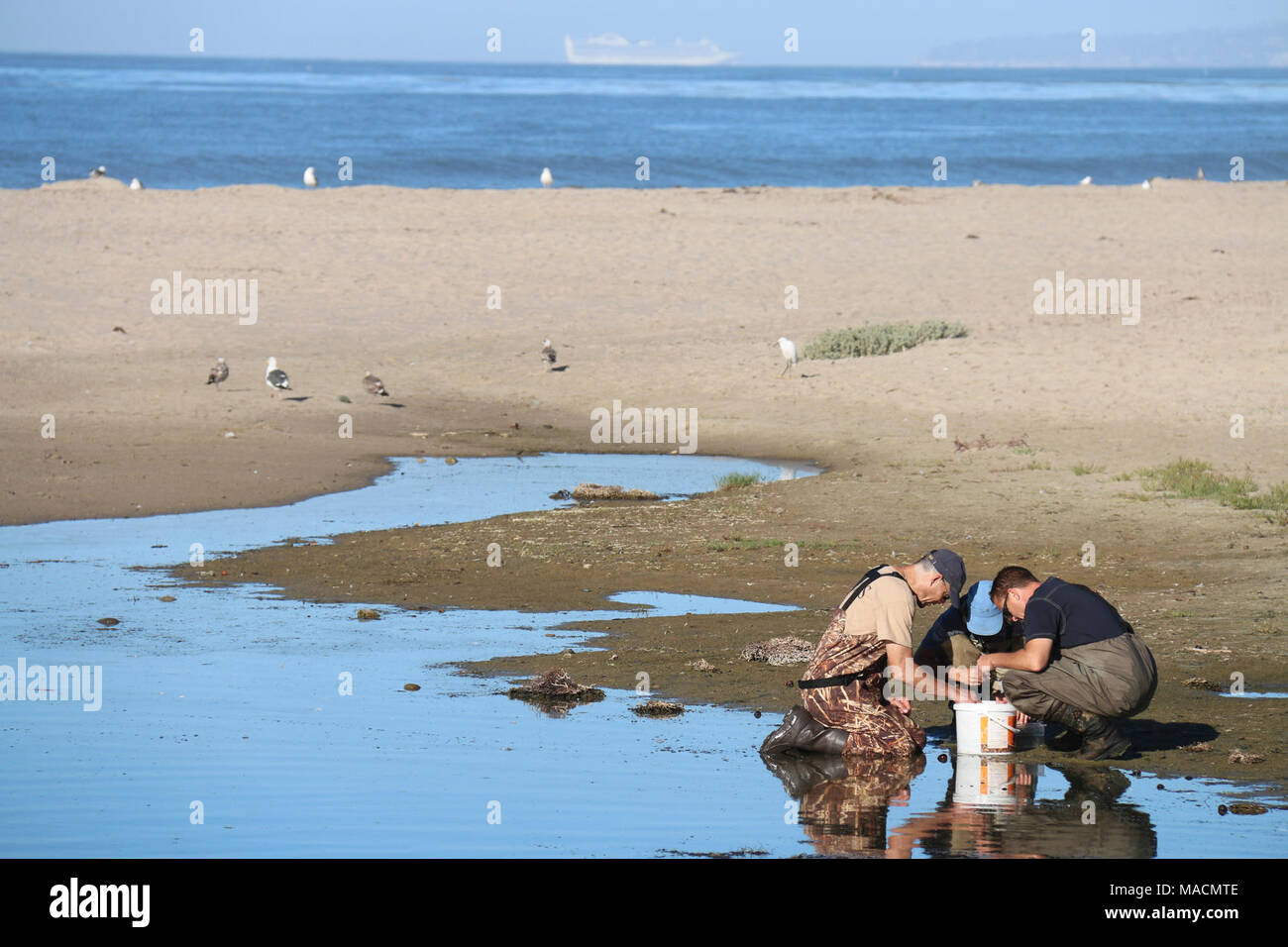 Coastal Lagoons And Estuaries High Resolution Stock Photography and ...