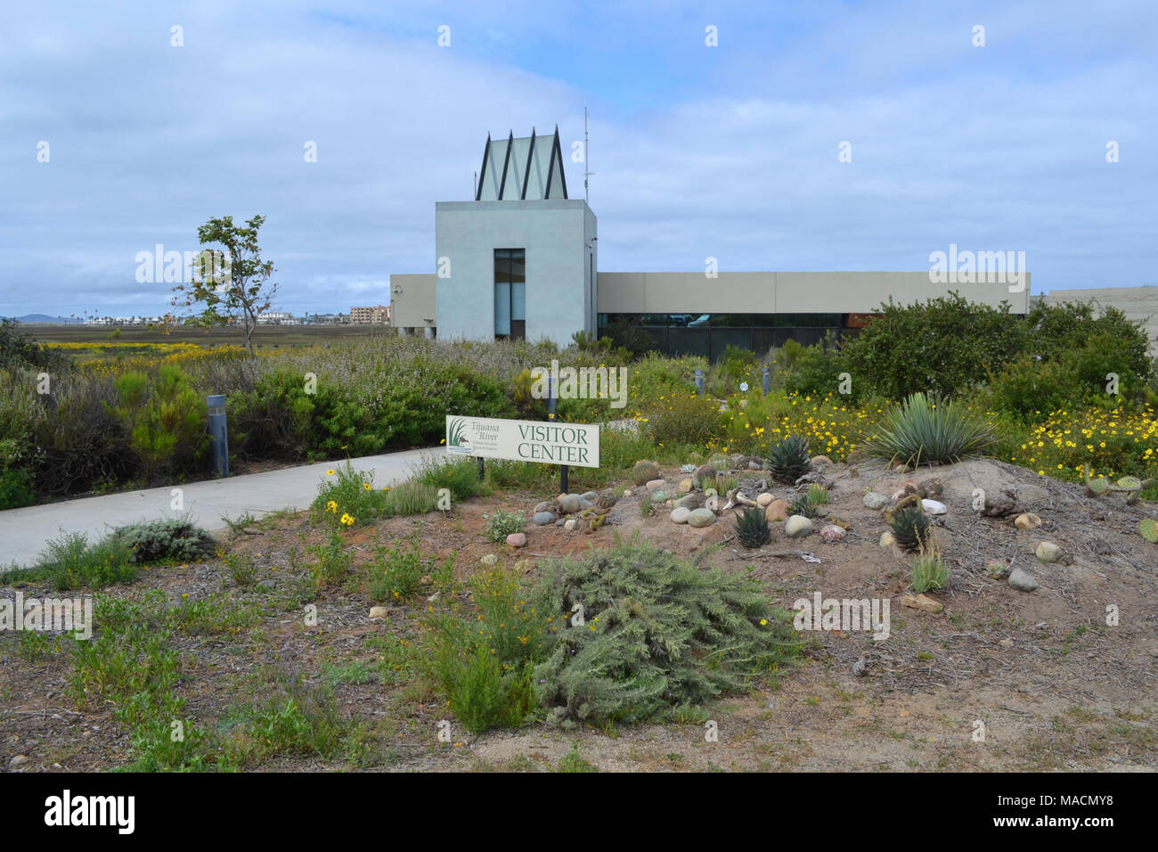 Tijuana slough national wildlife hi-res stock photography and images ...
