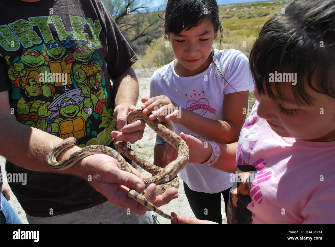 Touching the gopher snake. Kids have fun learning about gopher snakes ...