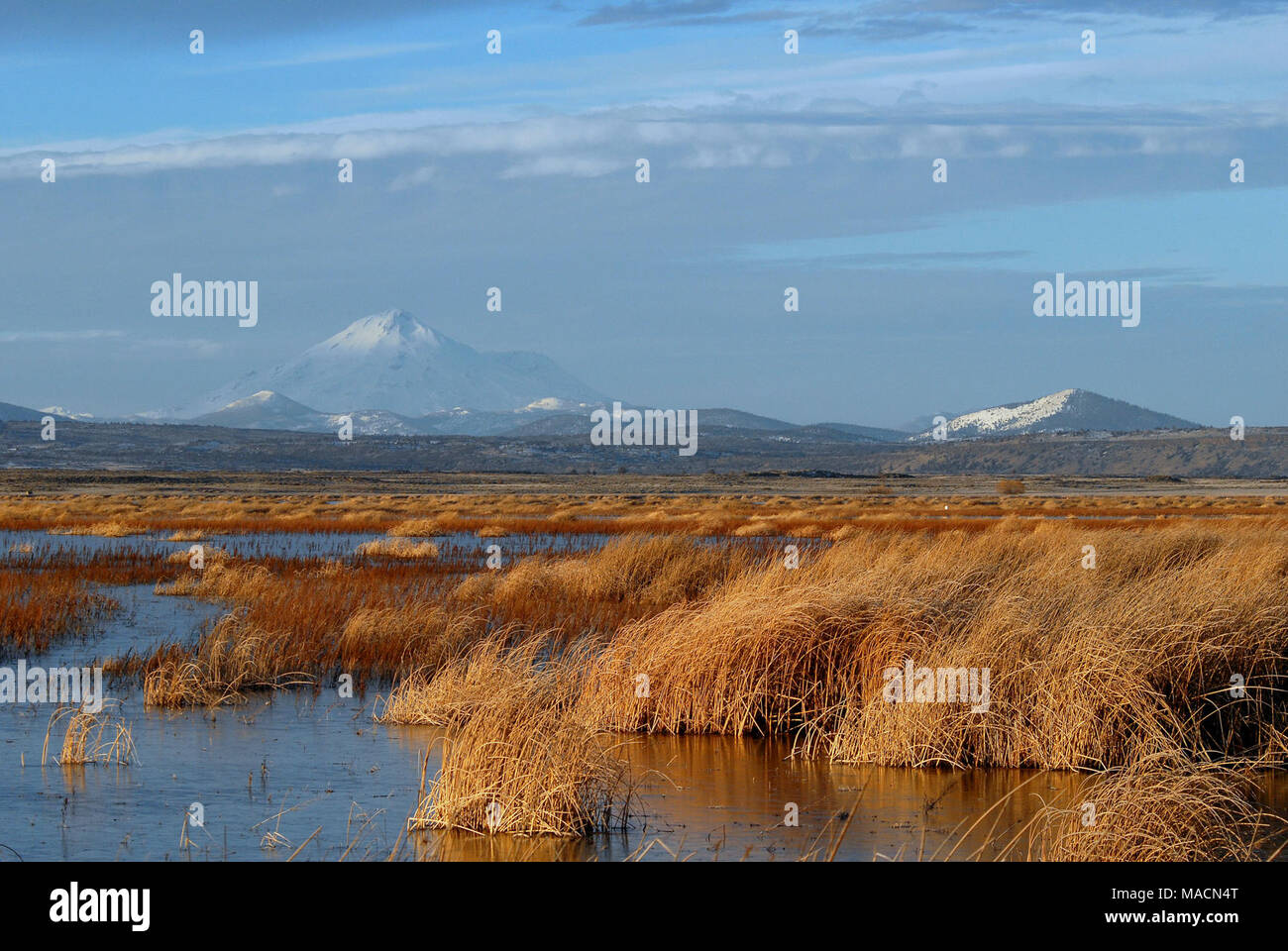 Tule Lake Wildlife Refuge High Resolution Stock Photography and Images ...