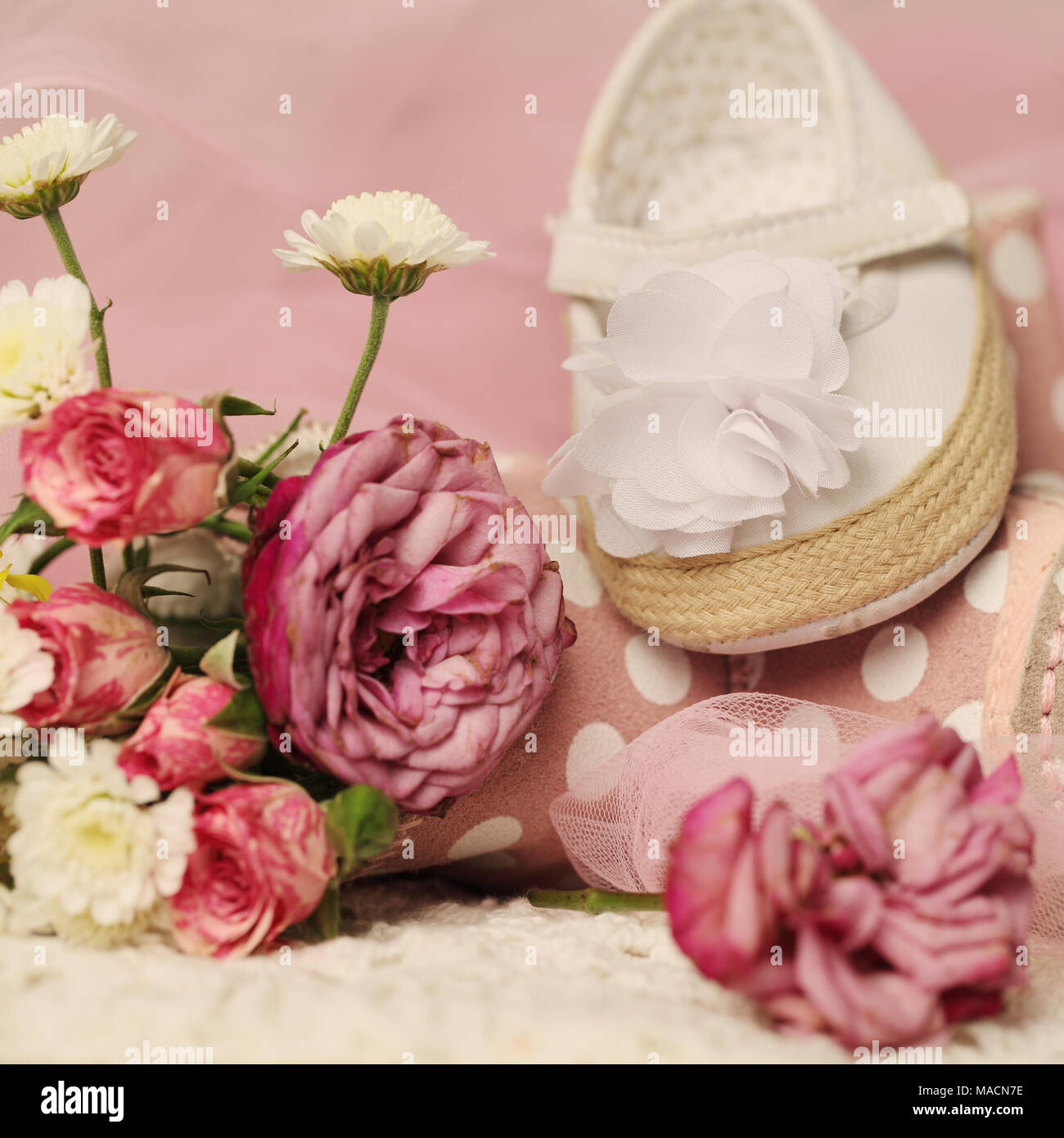 Beautiful background for newborn baby girl birthday card Stock Photo ...