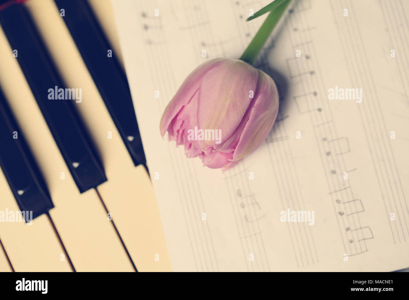 Musical flower arrangement hi-res stock photography and images - Alamy