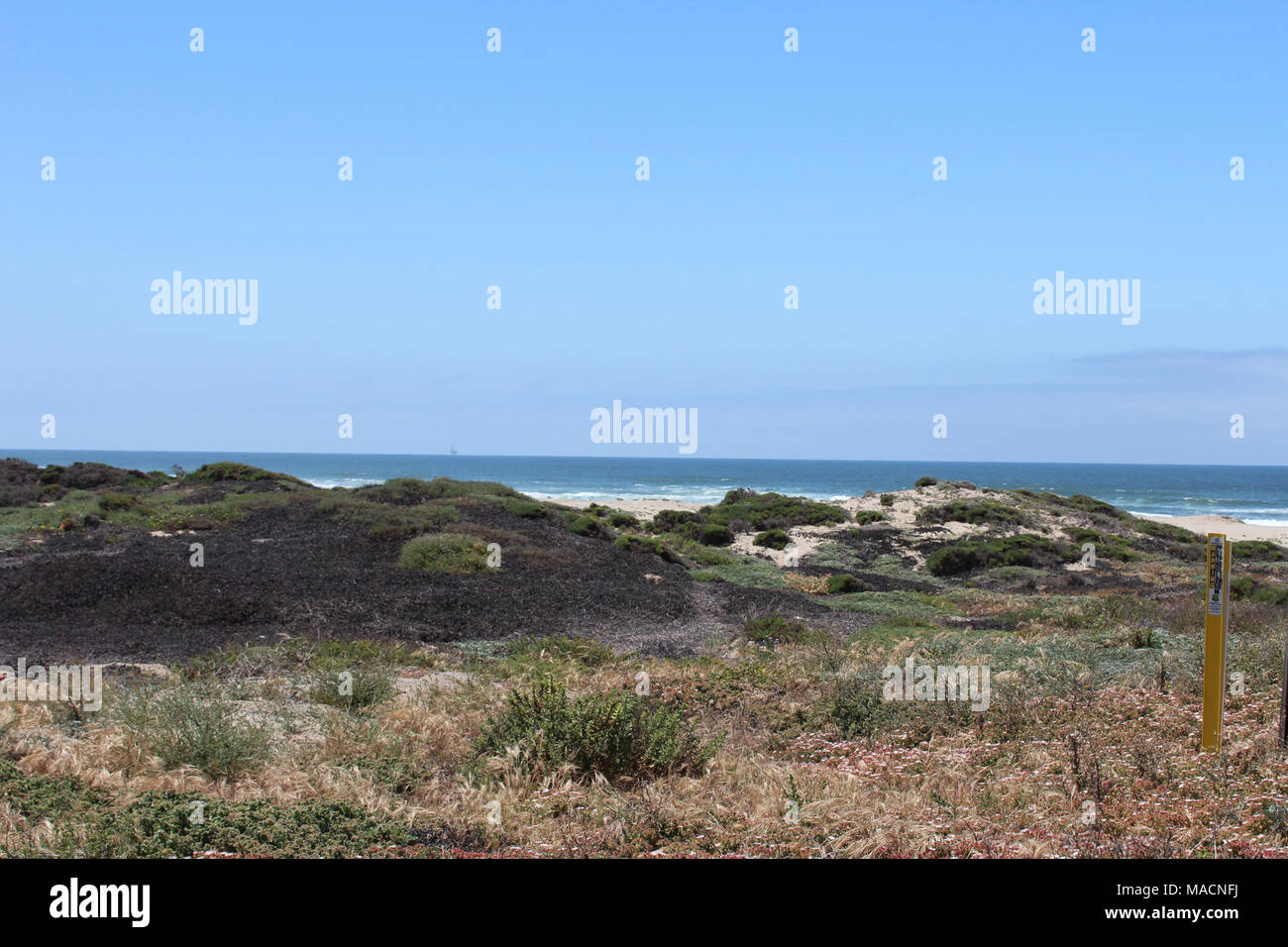 Vandenberg Air Force Base Recognized as 2015 Military Conservation ...
