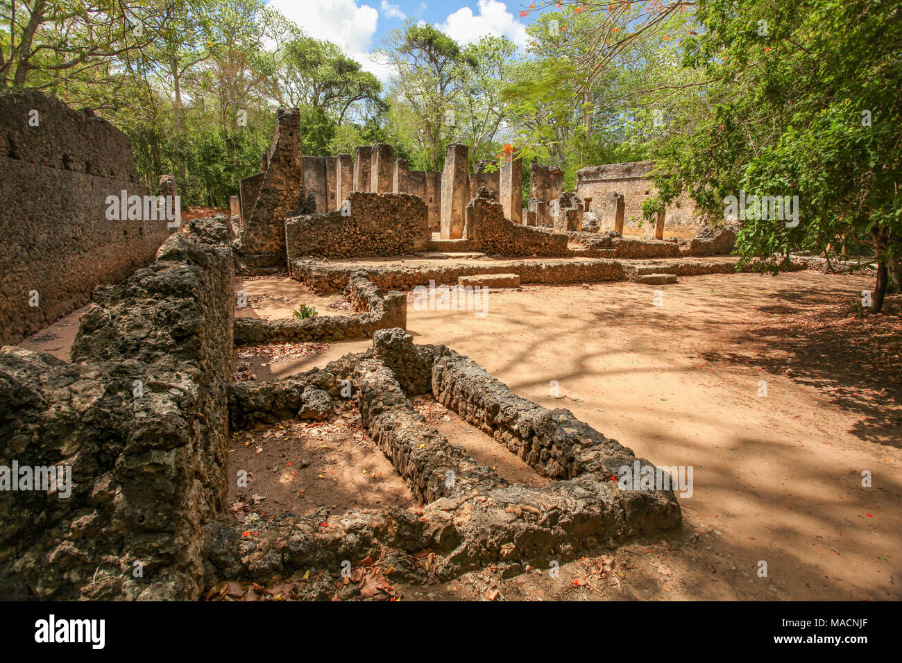 Ruins of ancient african city Gede (Gedi) in Watamu, Kenya with trees ...