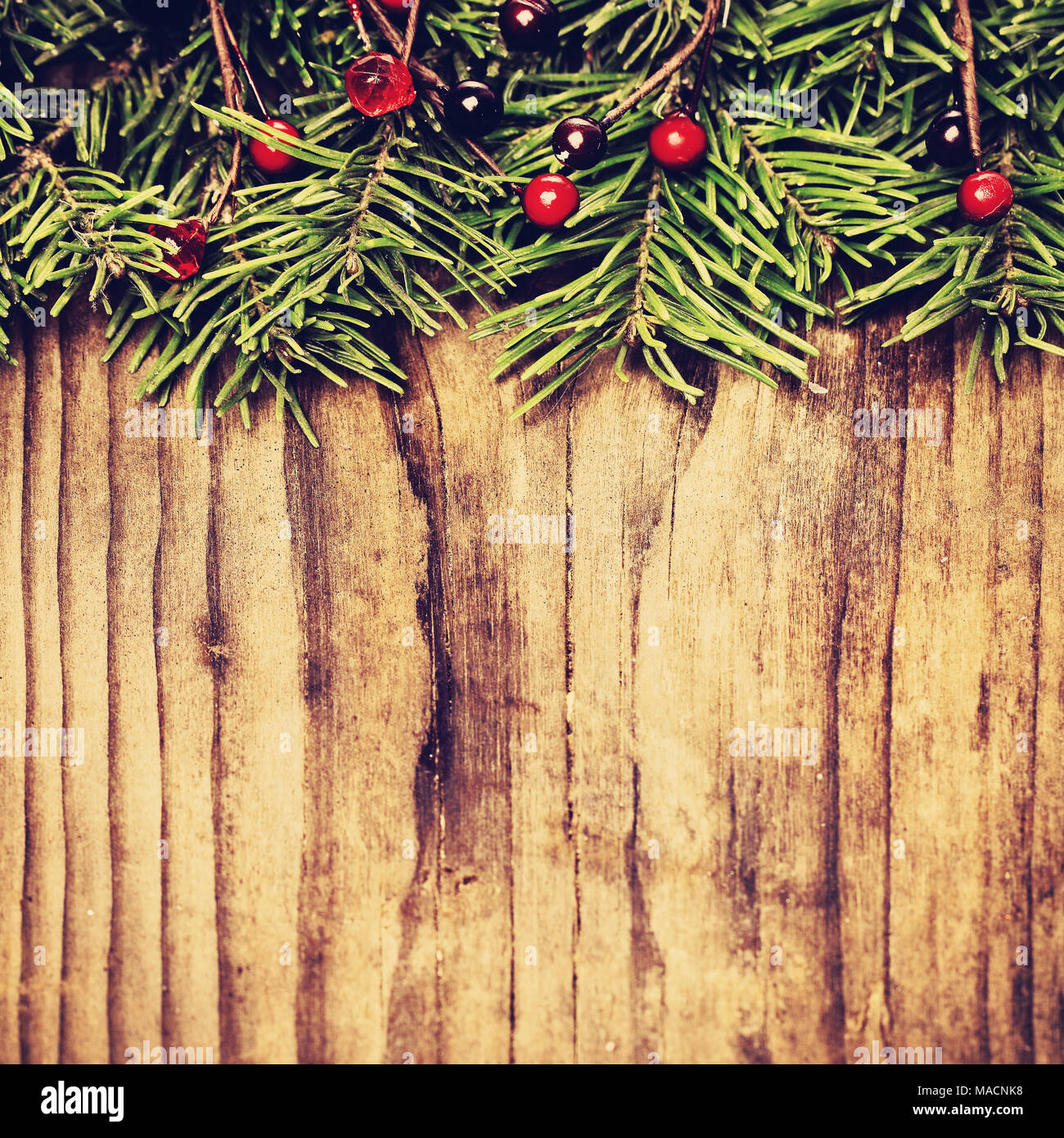 Evergreen background hi-res stock photography and images - Alamy