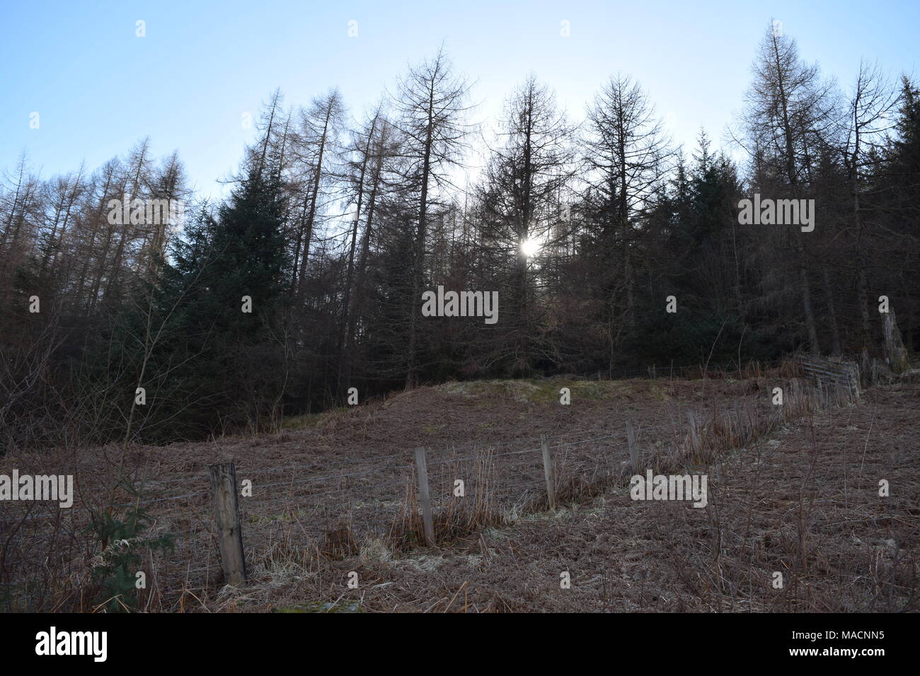 "loch lubnaig" "callender" "Scottish highlands" "strathyre" "Scotland ...