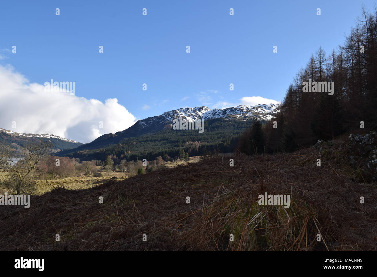 "loch lubnaig" "callender" "Scottish highlands" "strathyre" "Scotland ...